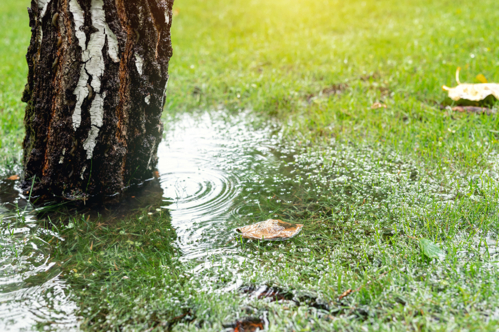 North Richland Storm Drainage Outfall Project - Environmental ...